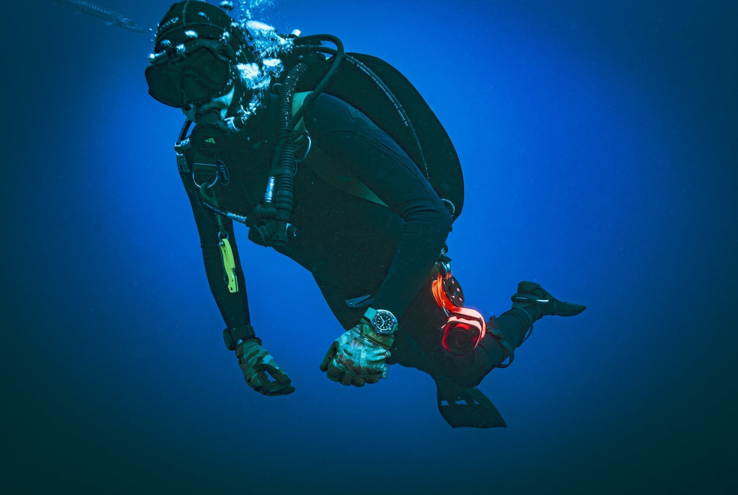 Living & Diving With The HGP Diver 200m Commando – Submersible Wrist
